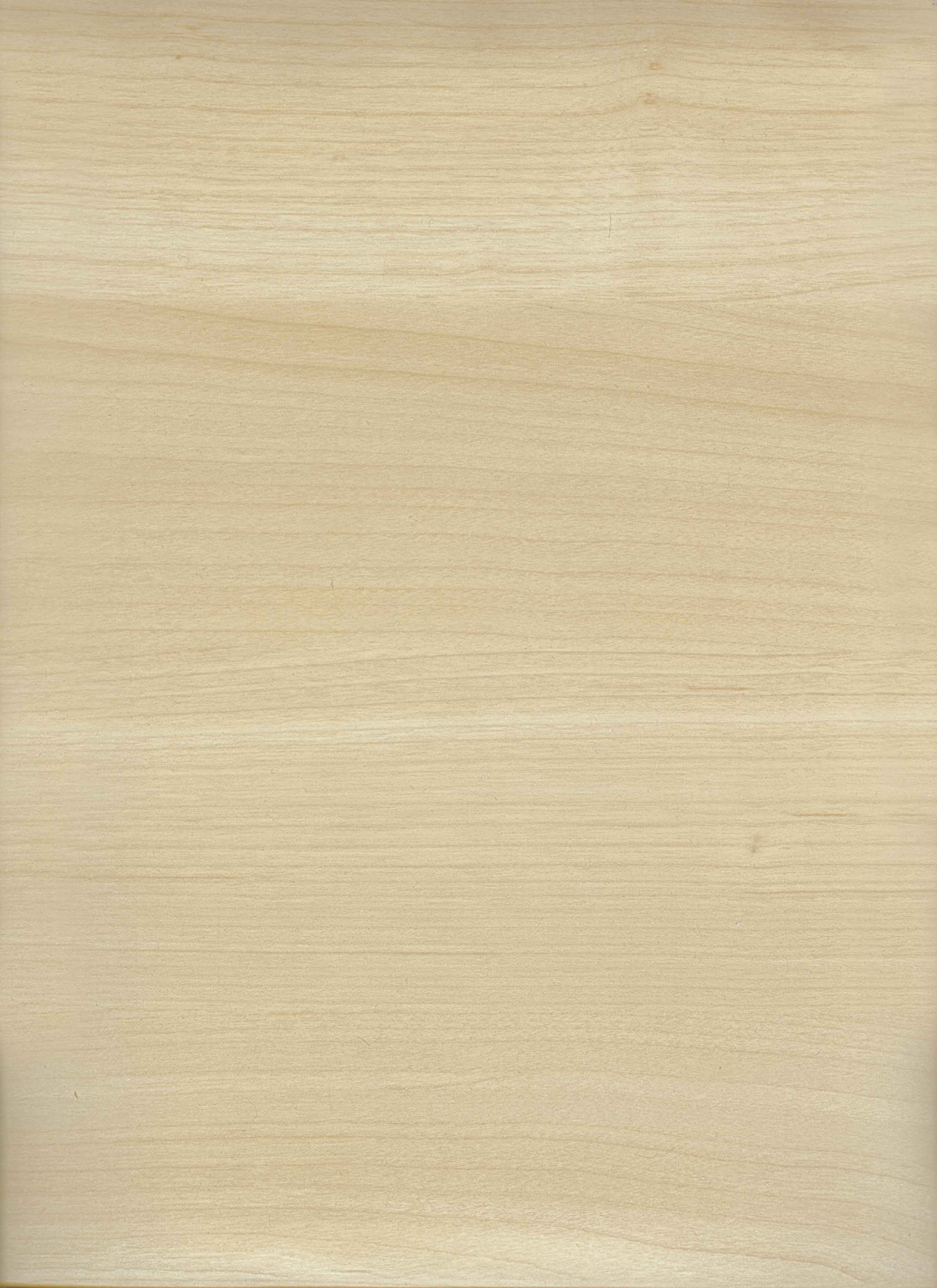 Linea'Touch de SPM : fiche produit et informations techniques sur ...