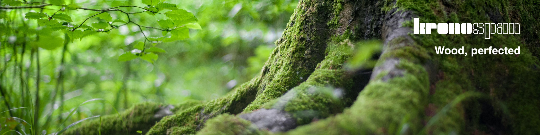 Kronospan | Fiche Technique & ProduitsMateriaux.archi